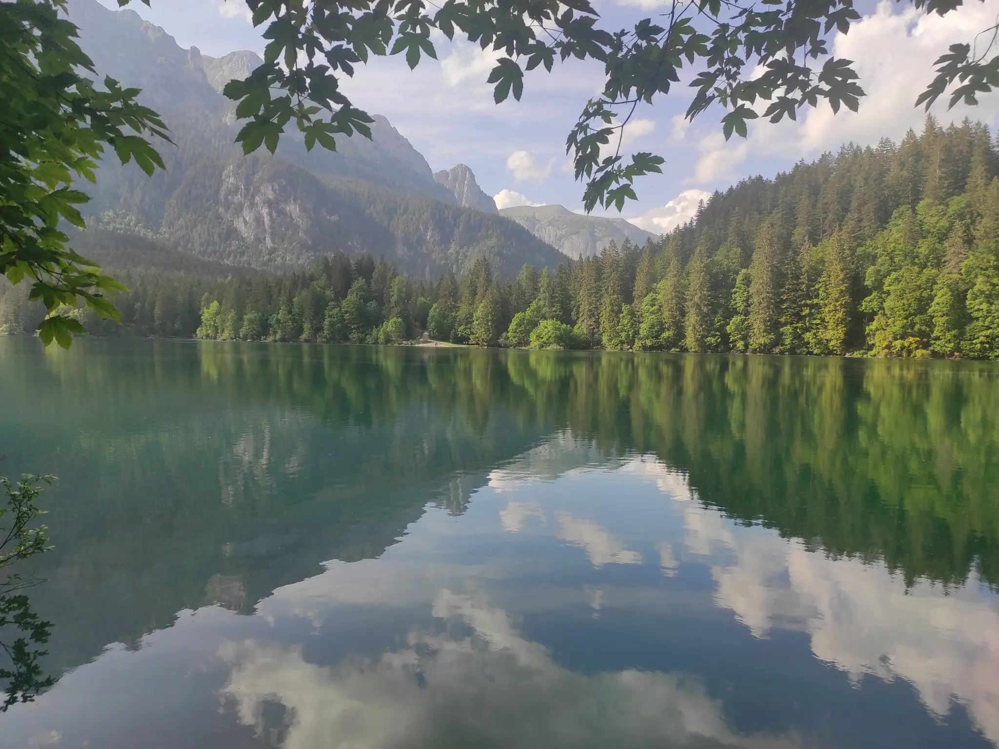 Anello Lago di Tovel - Escursioni Pelandrone
